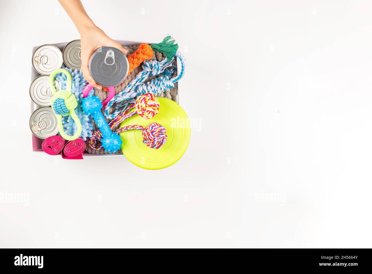 Animal shelter donation. Volunteer preparing animal donation box for ...