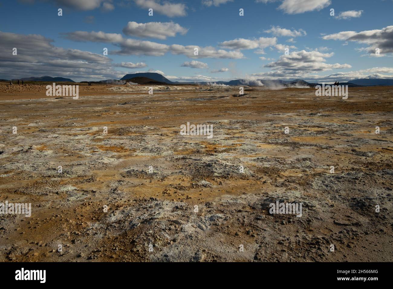 Geothermal area bubbling pools of mud steaming sulfuric gas Stock Photo ...