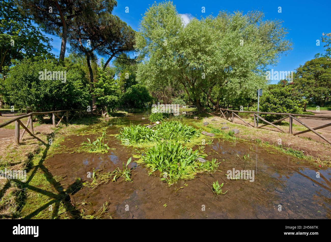 Pond at Park of Aqueducts (Parco degli Acquedotti), Rome, Lazio, Italy ...