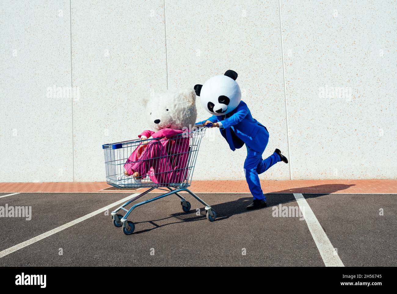 Storytelling image of a couple wearing giant panda head and colored ...