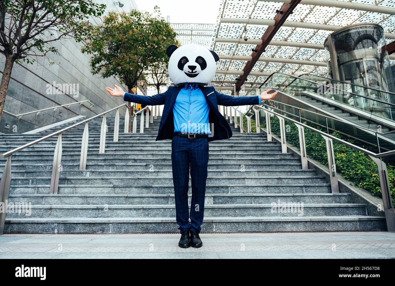 Storytelling image of a business man wearing a giant panda head Stock ...