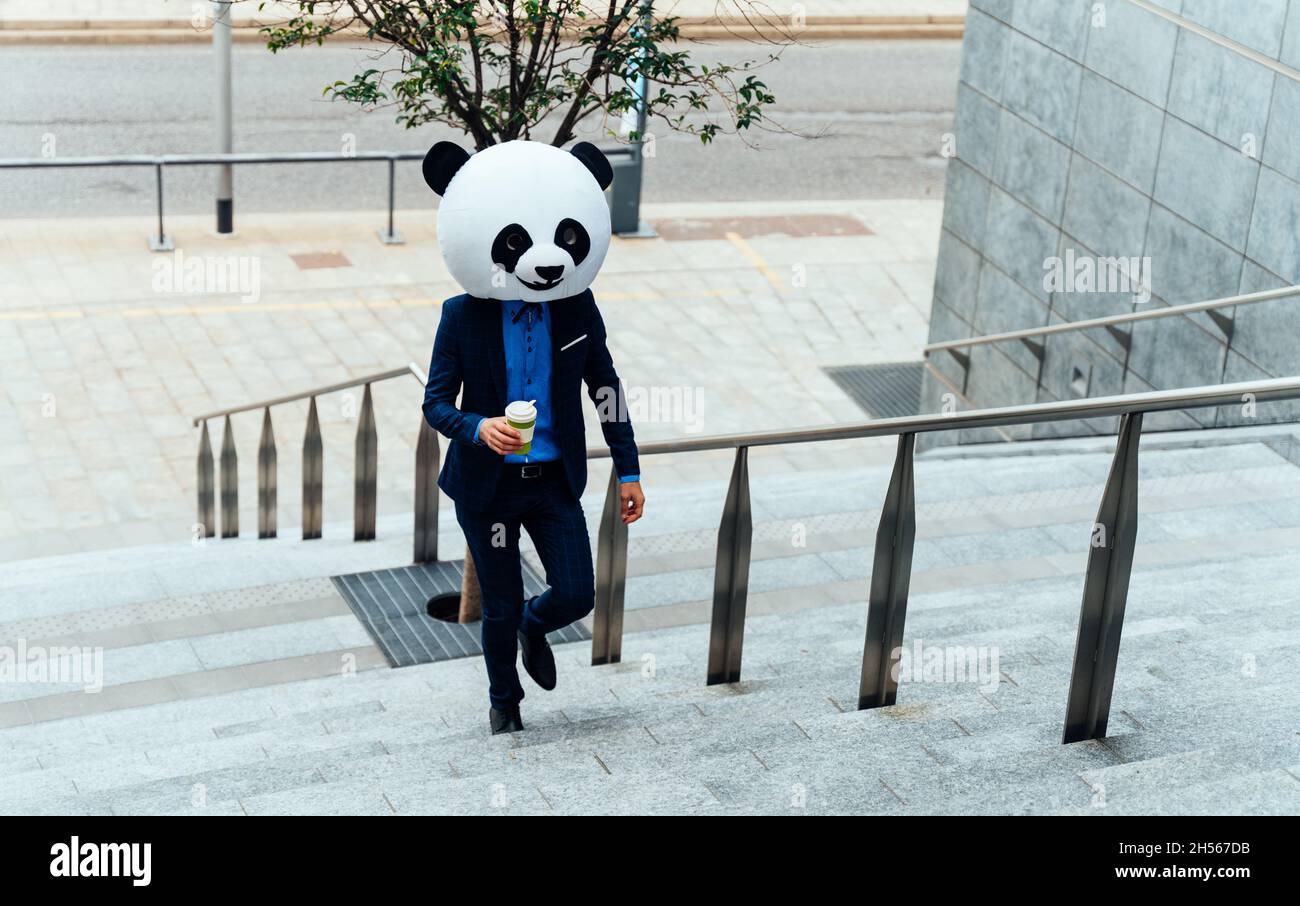 Panda businessman hi-res stock photography and images - Alamy