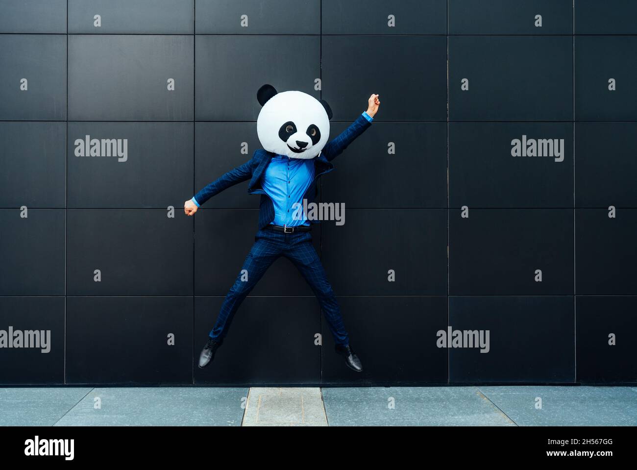 Storytelling image of a business man wearing a giant panda head Stock ...