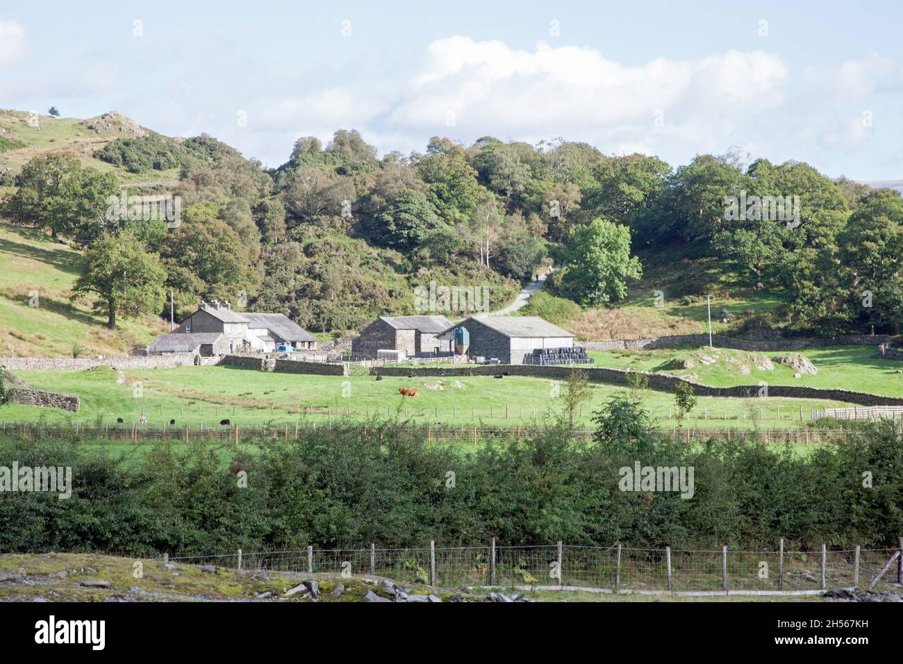 High Tilberthwaite lying in the where Yewdale Beck flows from the ...