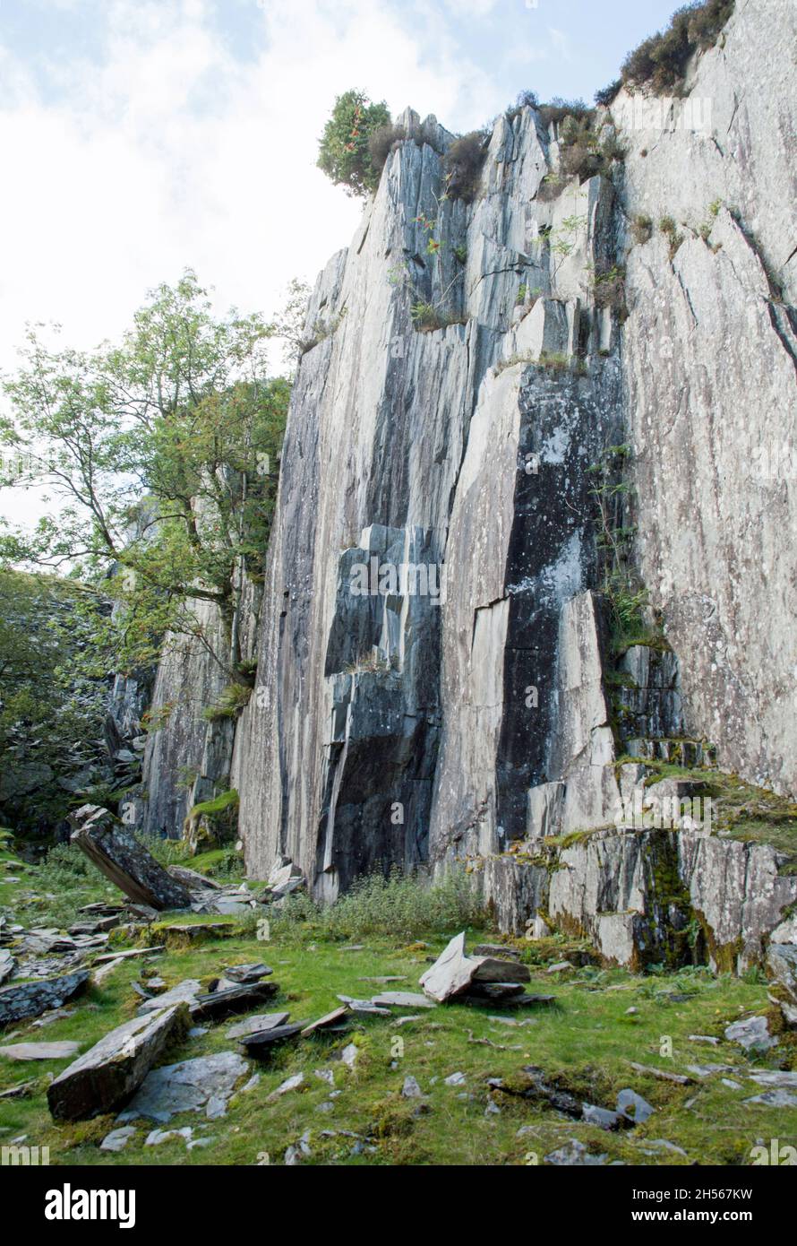 Quarry face in an abandoned quarry level on the slopes of Penny Rigg by ...
