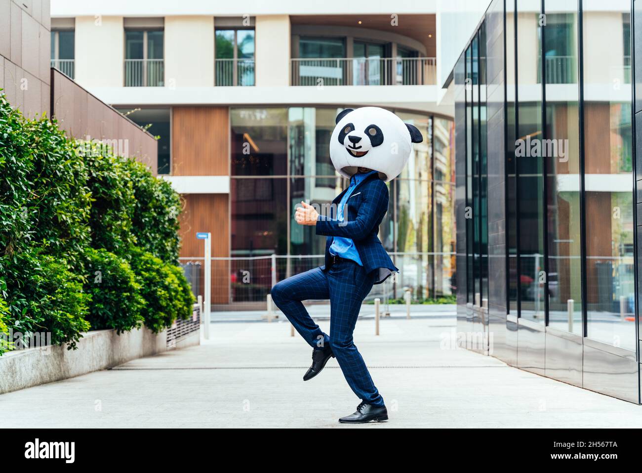 Panda dancer hi-res stock photography and images - Alamy