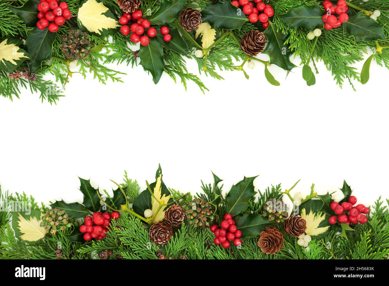 Natural winter solstice and Christmas background border with holly ...
