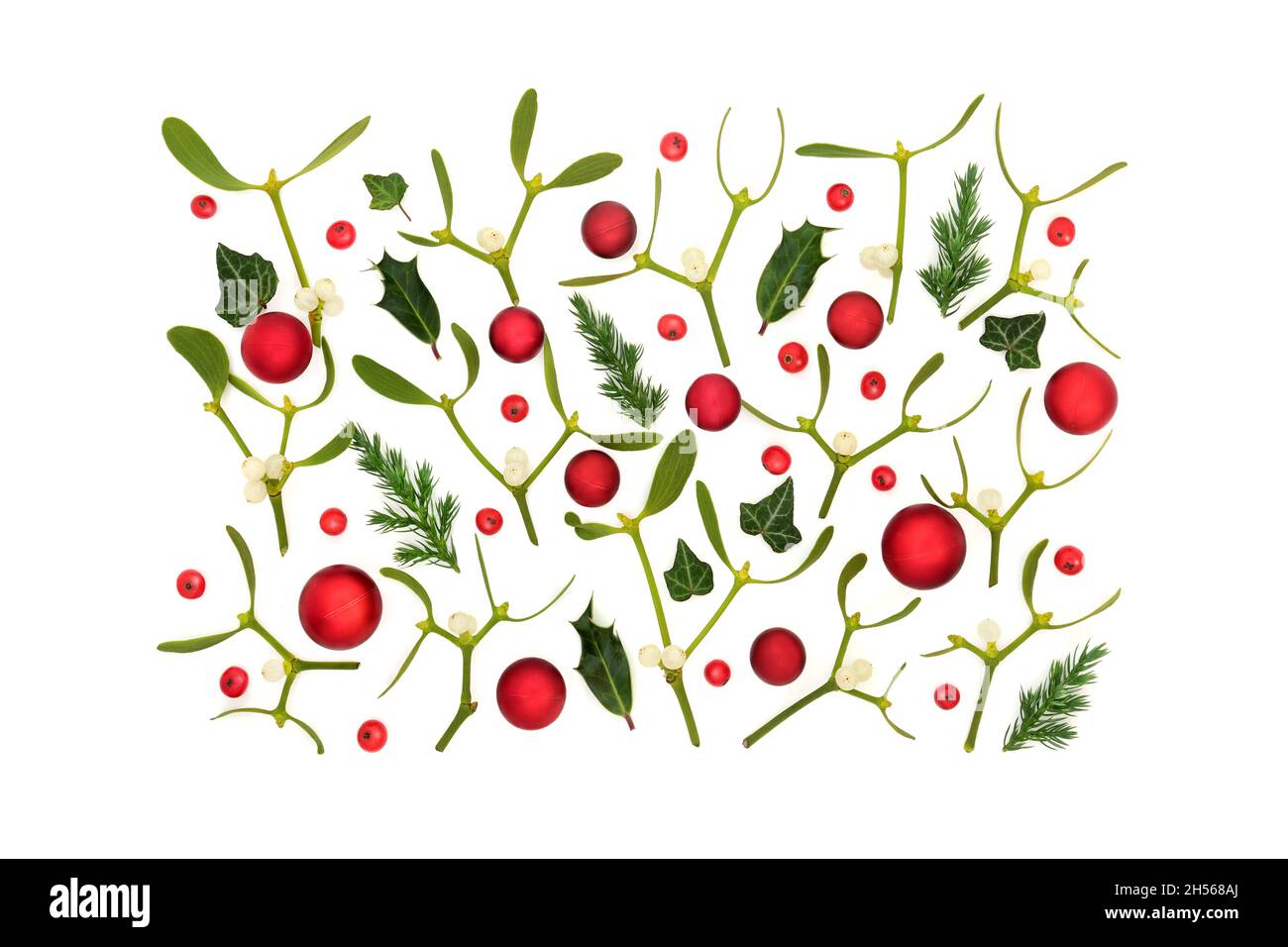 Mistletoe And Holly Comparison