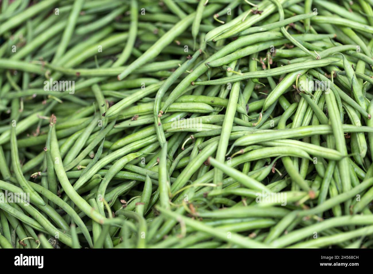 Fresh green beans on farmer agricultural market Stock Photo - Alamy