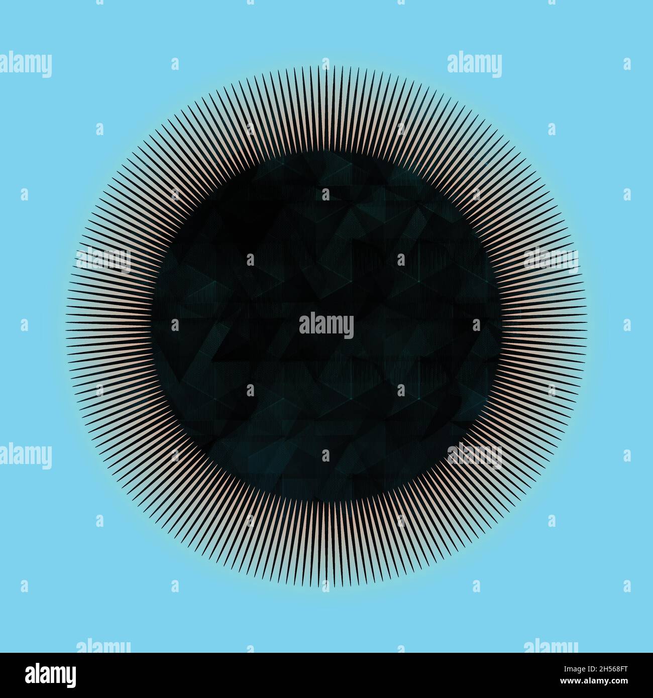 Sunbeam flowers Stock Vector Images - Alamy