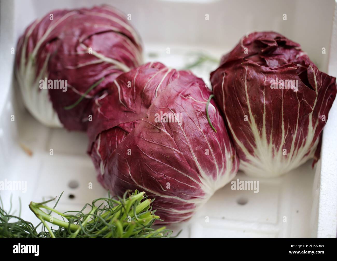 Radicchio farmers market hi-res stock photography and images - Alamy