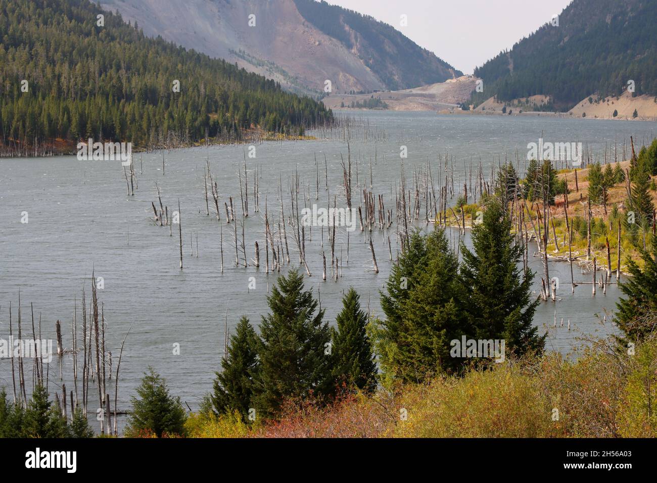 Hebgen Lake, Montana Stock Photo - Alamy