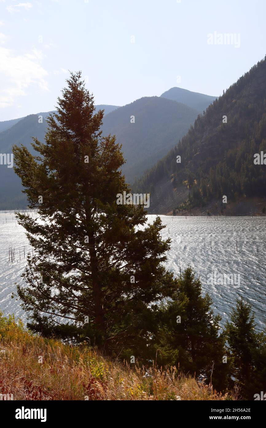 Hebgen Lake, Montana Stock Photo - Alamy