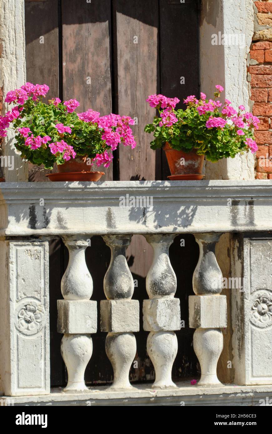 Geranium balcony hi-res stock photography and images - Alamy