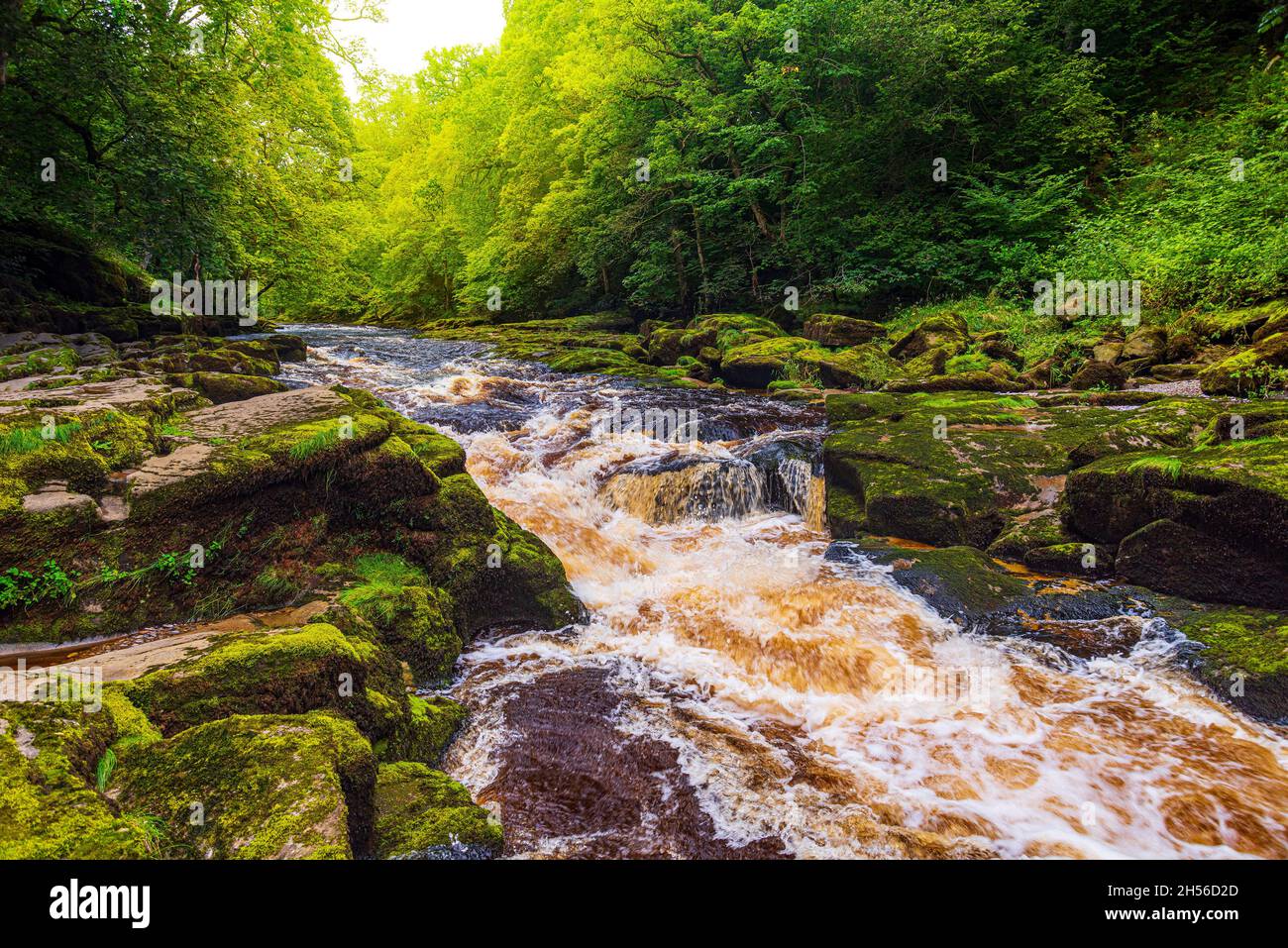 The strid at Bolton Abbey on the River Wharfe in Wharfedale, North ...