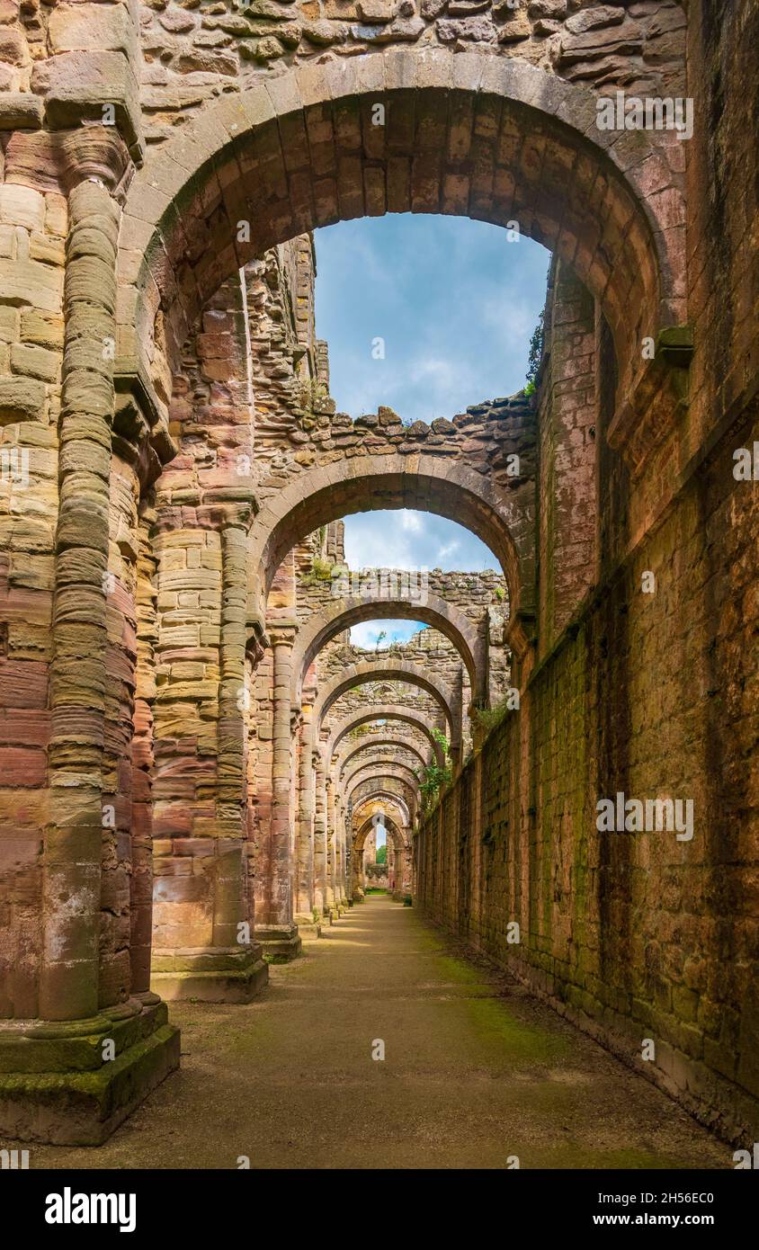 The Ruins of Fountains Abbey on the banks of the river skell in North ...