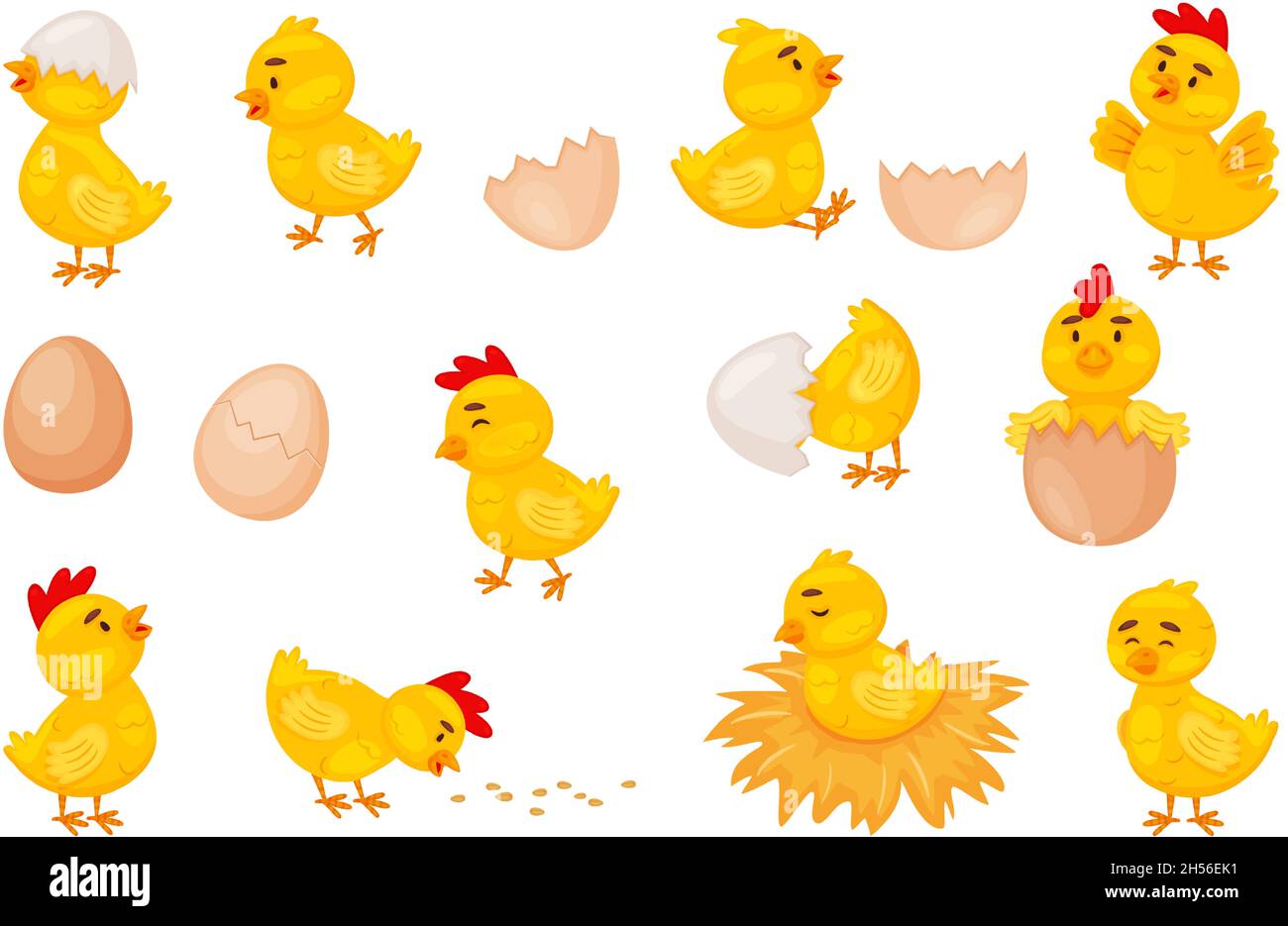 Seed in the beak Stock Vector Images - Alamy