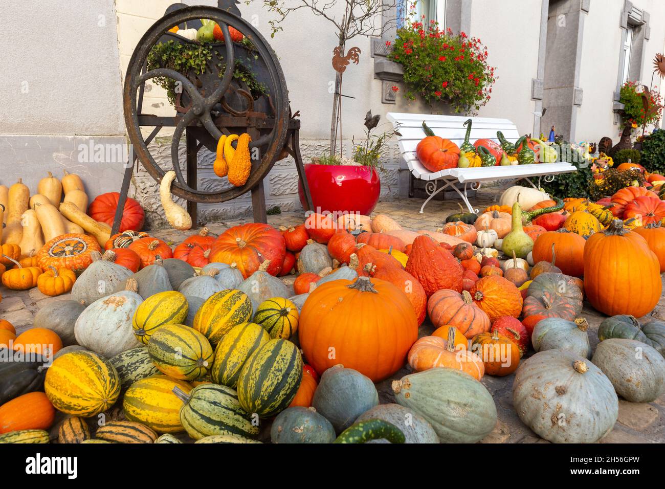 Outdoor market fall hi-res stock photography and images - Alamy