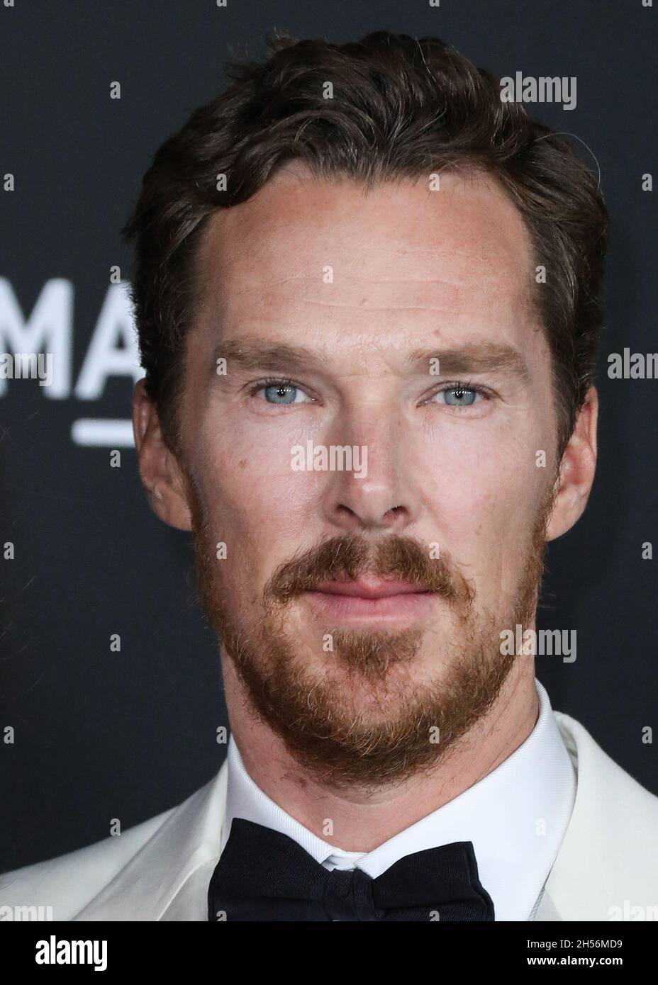 LOS ANGELES, CALIFORNIA, USA - NOVEMBER 06: Actor Benedict Cumberbatch ...