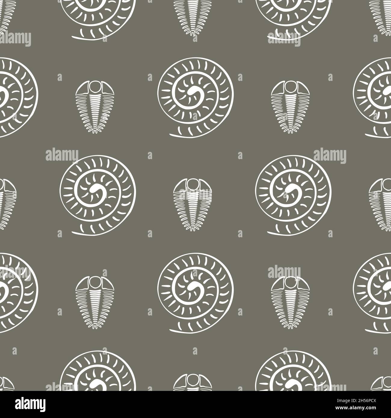 Ammonite trilobite vector seamless pattern background. Hand drawn ...