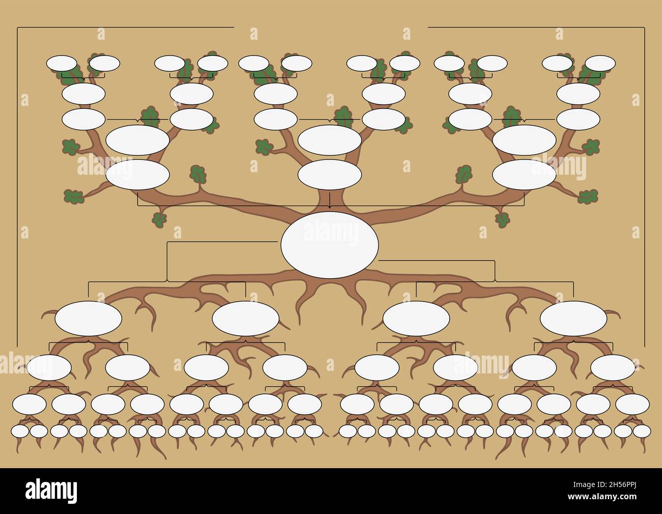 Blank Family Tree Drawing