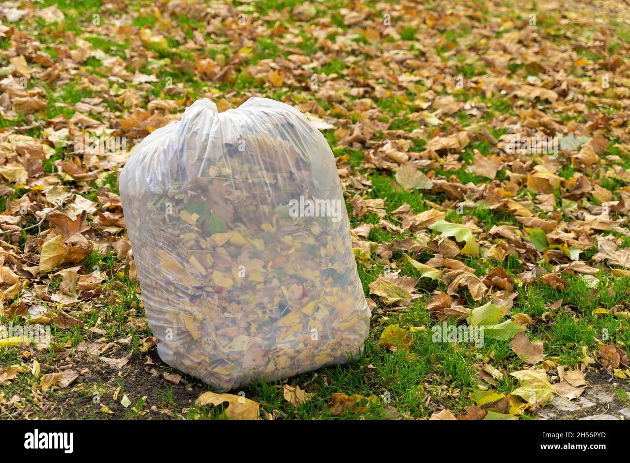 Full bag leaves pile hi-res stock photography and images - Alamy