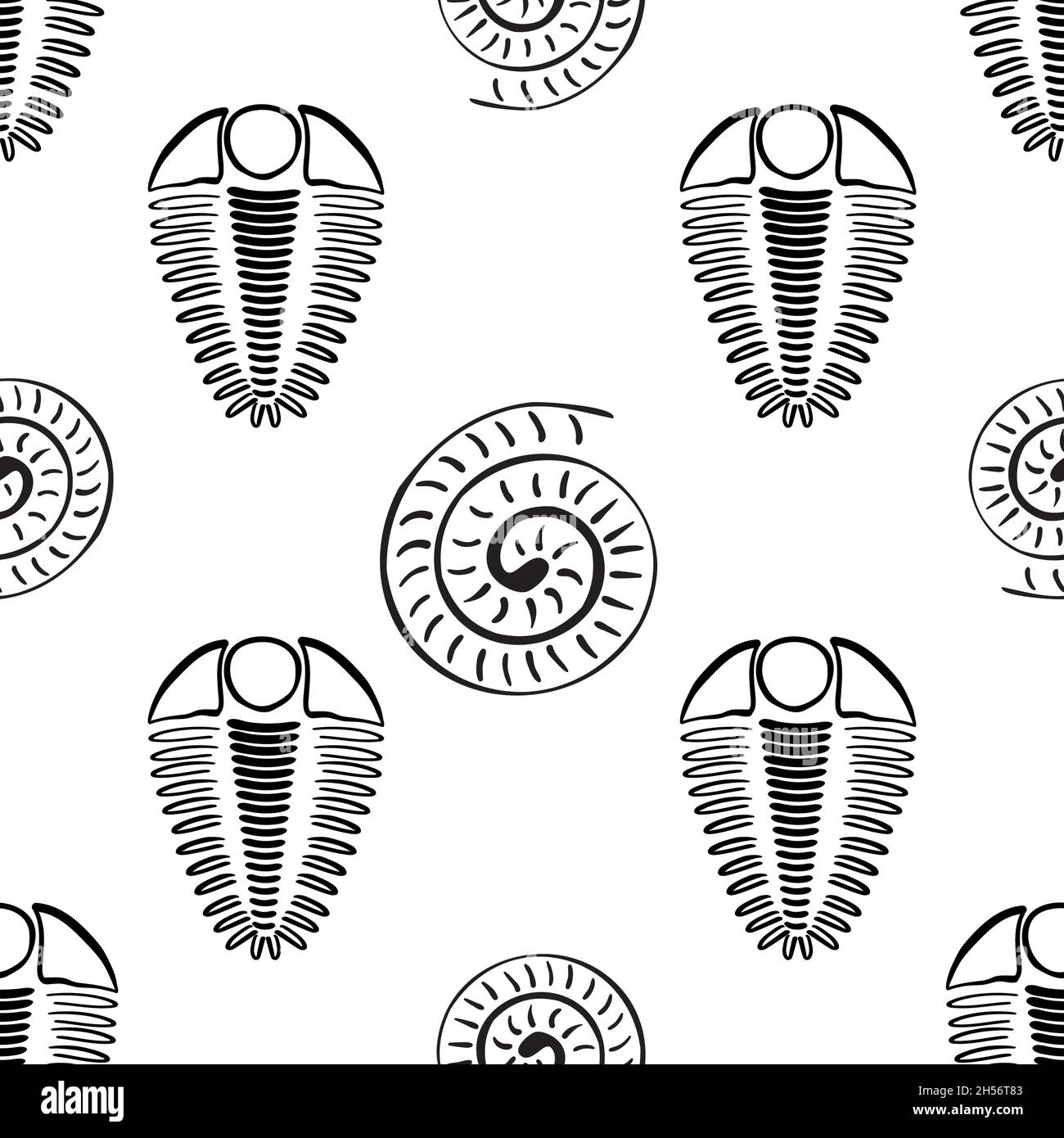Ammonite trilobite vector seamless pattern background. Hand drawn ...