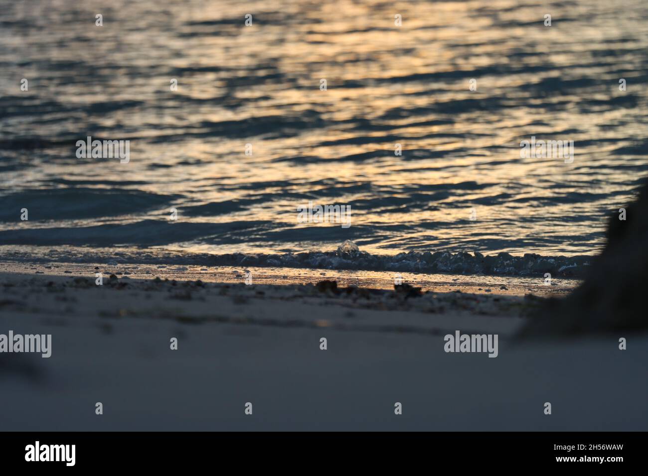 Small waves on a sandy beach with sunlight reflection Stock Photo - Alamy