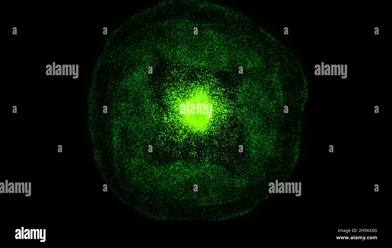 Moving Colorful Led Lights. Animation. Neon colored dots moving in a ...