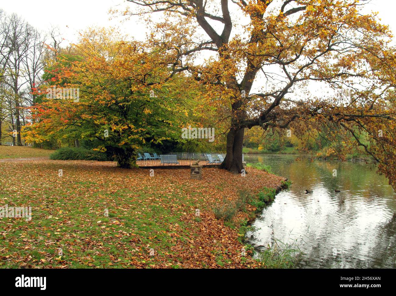 Colorful trees and pond at the Clara Zetkin Park in Leipzig, Germany ...