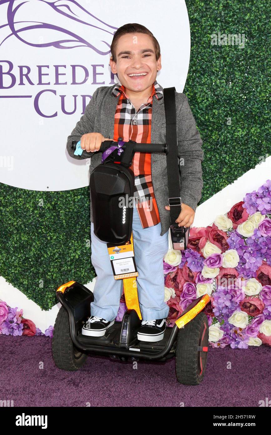 Brandon farbstein hi-res stock photography and images - Alamy