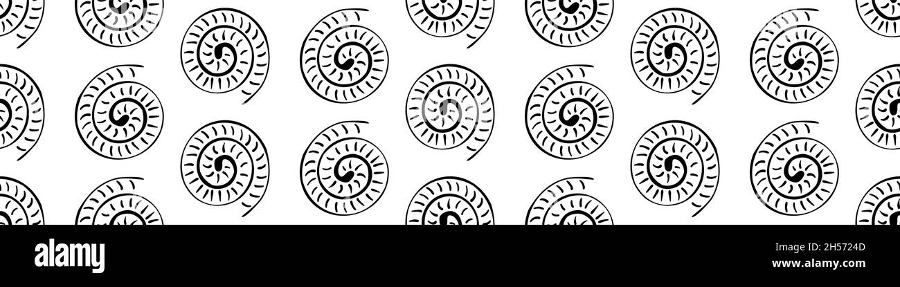 Ammonite vector seamless border background. Hand drawn banner of ribbed ...
