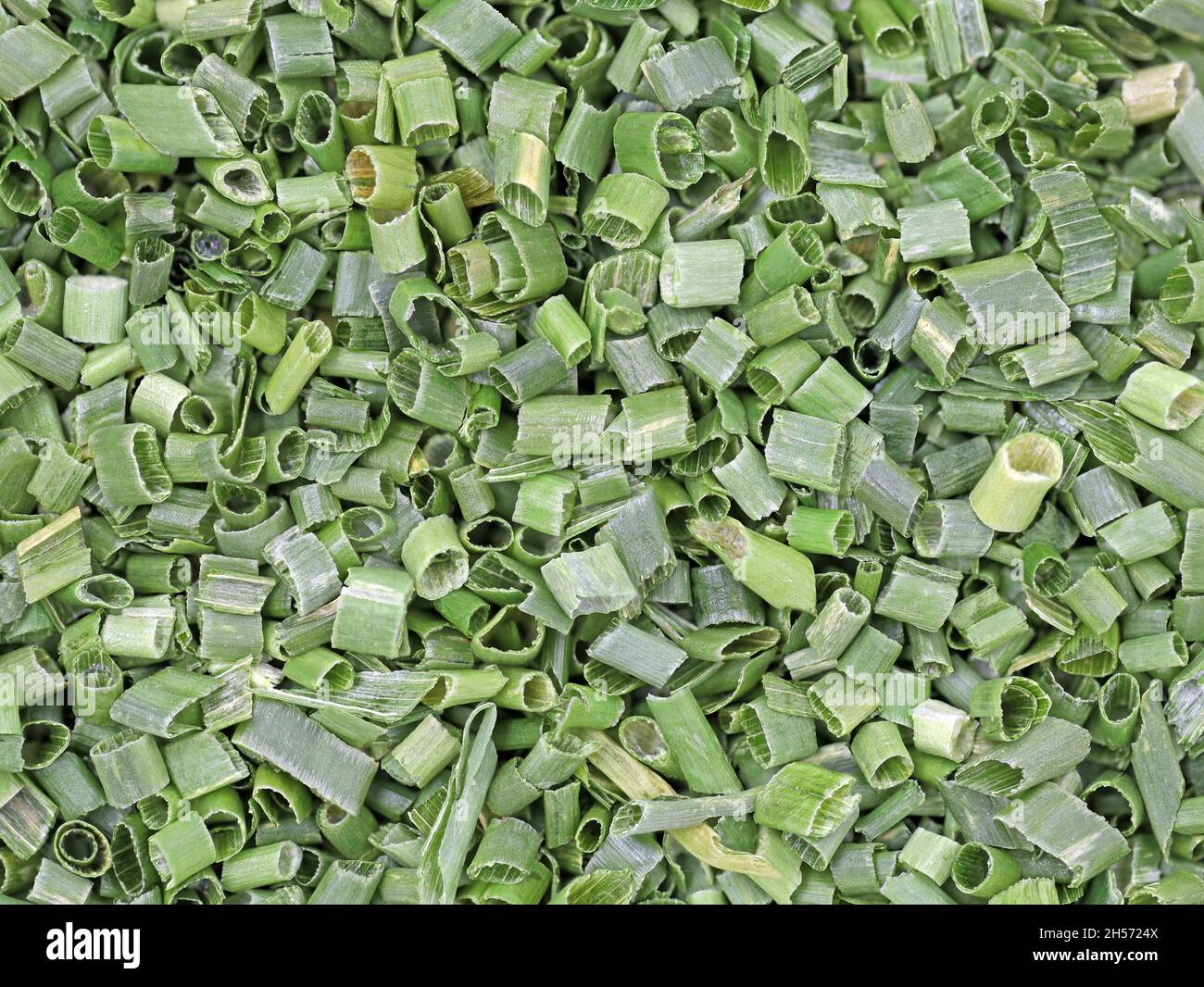 Allium schoenoprasum top view hi-res stock photography and images - Alamy