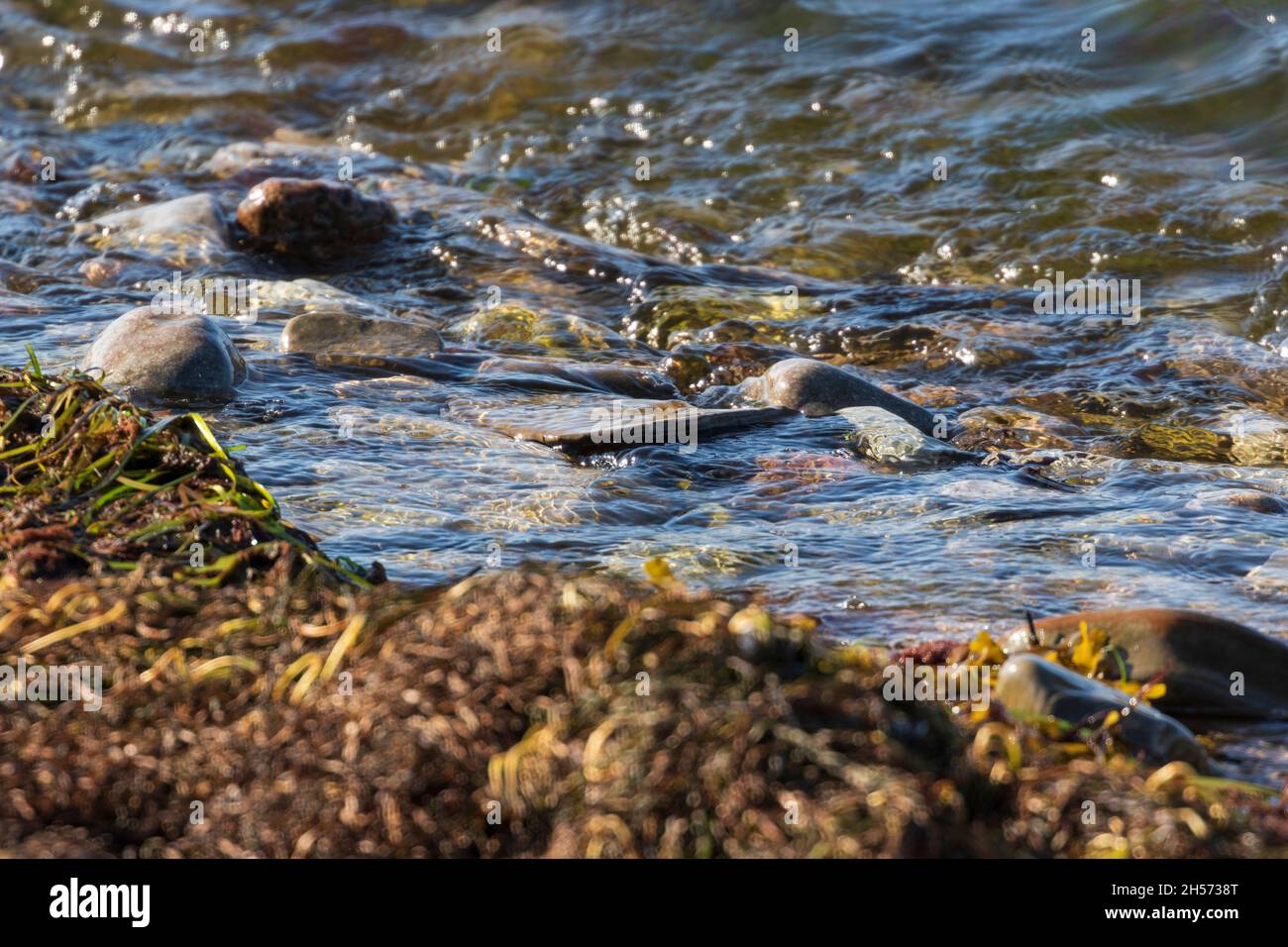 On the beach Stock Photo - Alamy