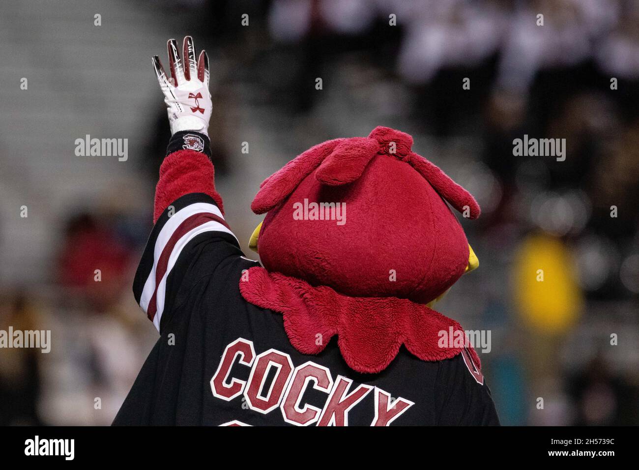 Columbia, SC, USA. 6th Nov, 2021. South Carolina Gamecocks mascot Cocky ...