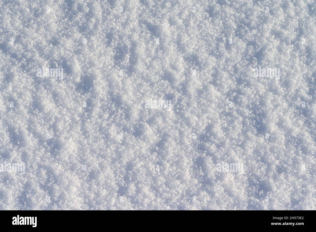 Snow and snowflakes season, texture of loose and dry snow. new Stock ...