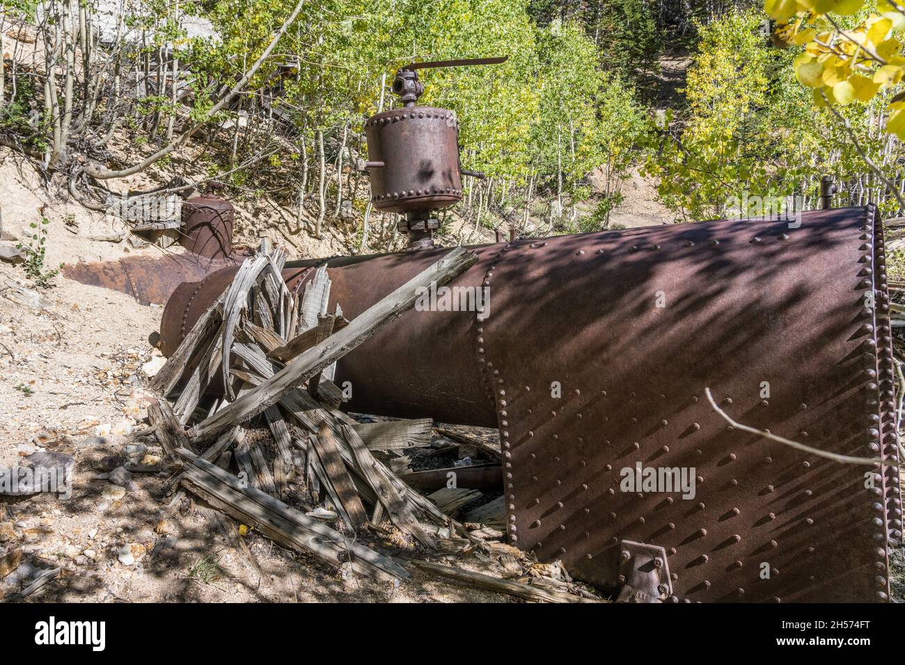 Early 1900s stamp machine hi-res stock photography and images - Alamy