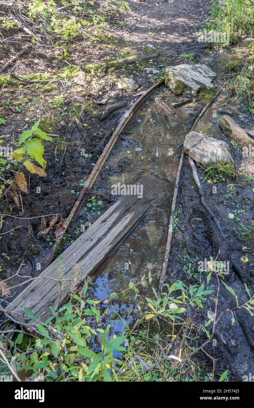 Ore car tracks from the Silver King Mine, circa 1894, in the Tushar ...