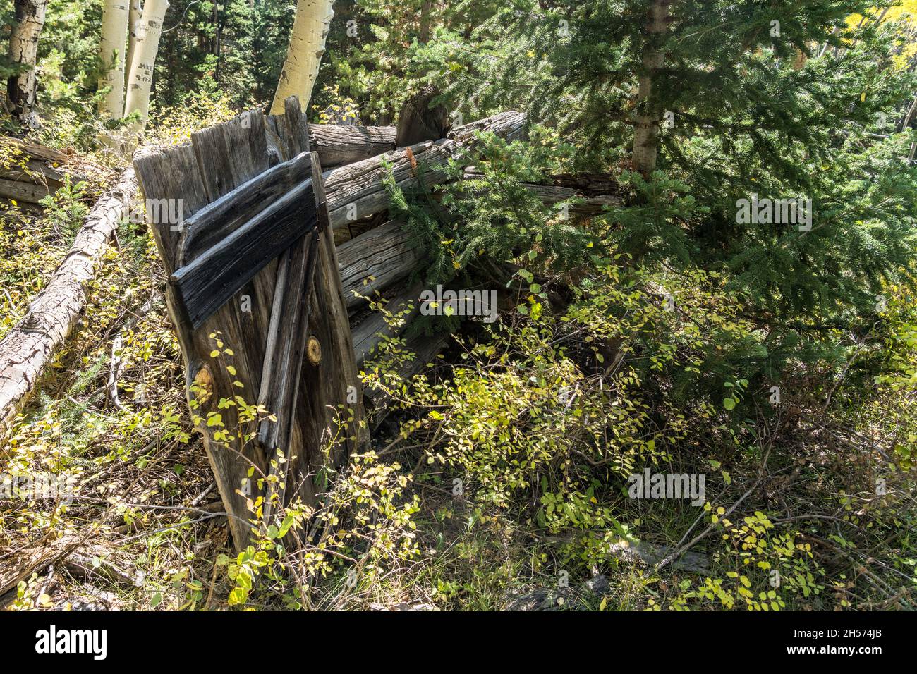 Broken down log cabin in hi-res stock photography and images - Alamy