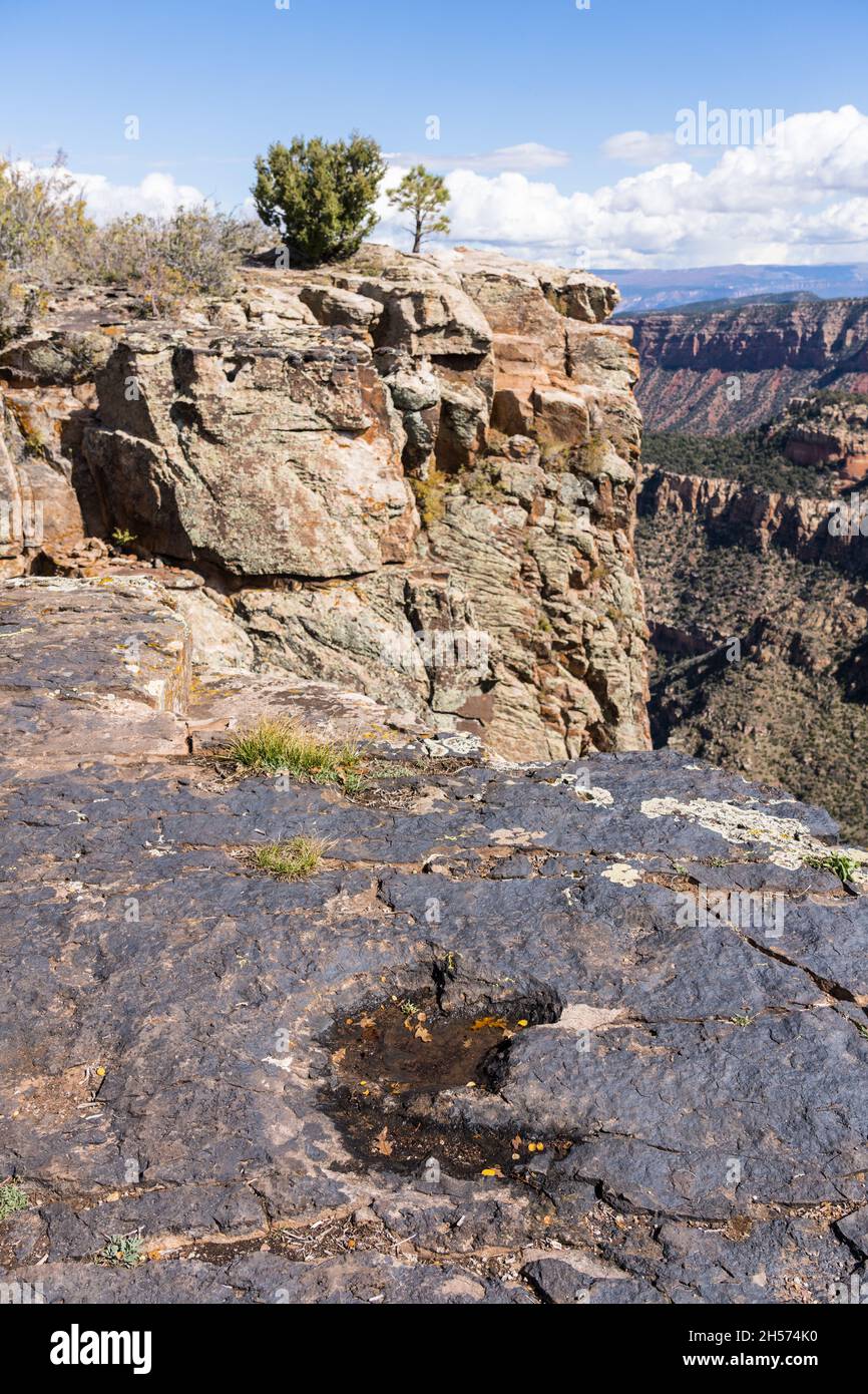 Bull canyon dinosaur track trail hi-res stock photography and images ...