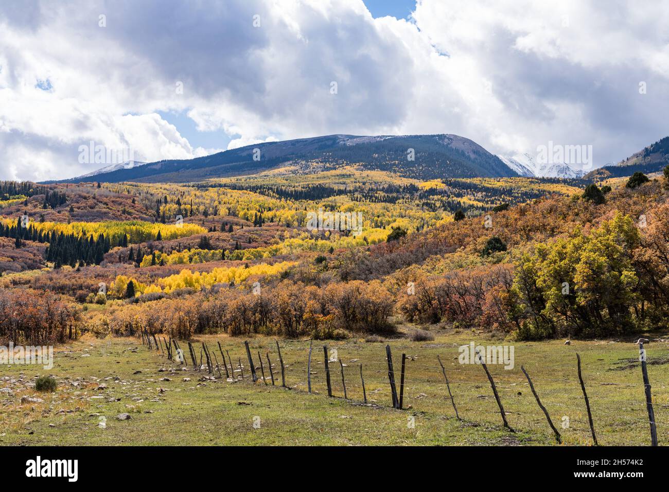 Early snow on the peaks of the La Sal Mountains with the aspen trees in ...