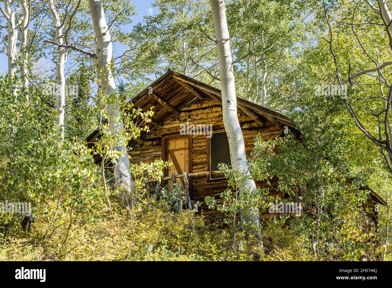 The mine-owner's log cabin at the Silver King Mine in the Tushar ...