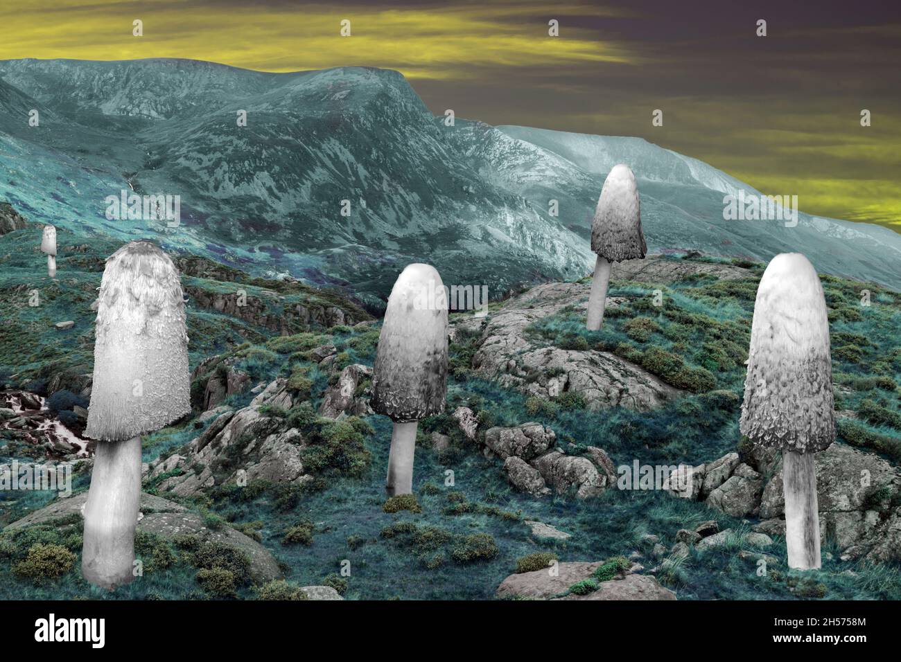 A fantasy image of giant fungi on an alien planet. The fungus is based ...