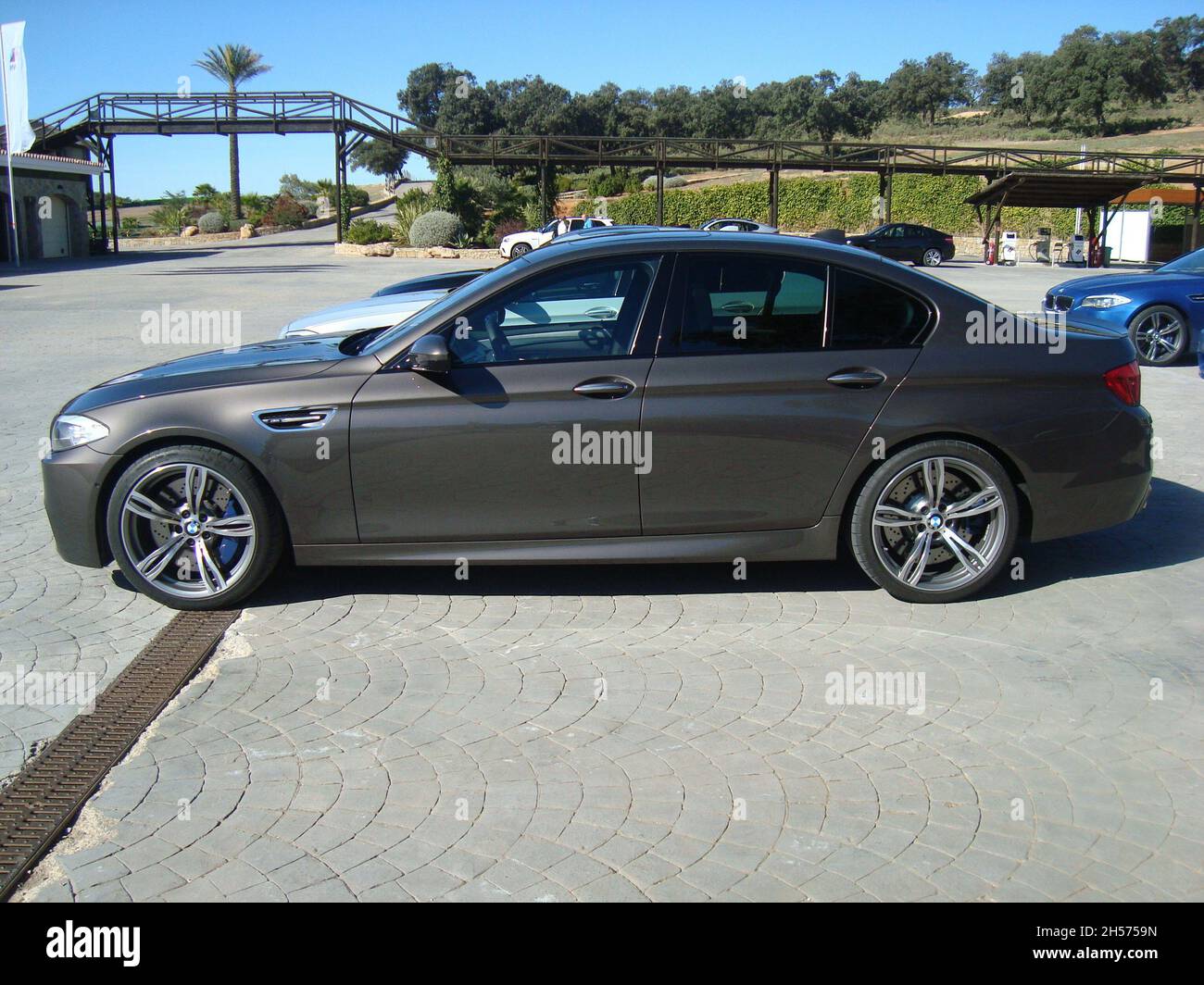 The new BMW M5 (F10) : Side view, grey, isolated. Manufactured from ...