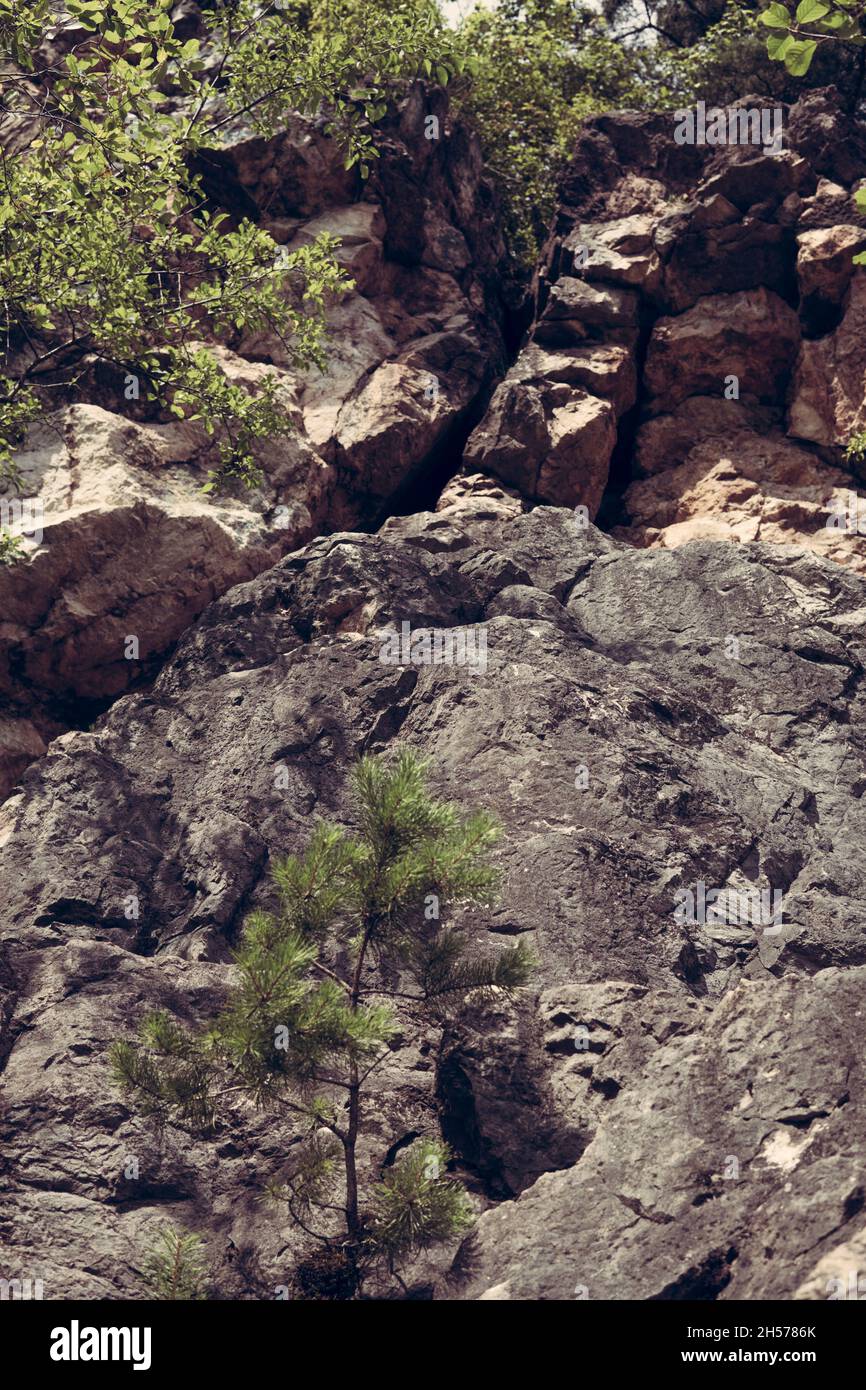detail of rock formation inside of an old quarry Stock Photo - Alamy