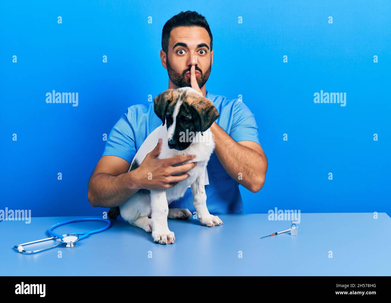 Handsome hispanic veterinary man with beard checking dog health asking ...
