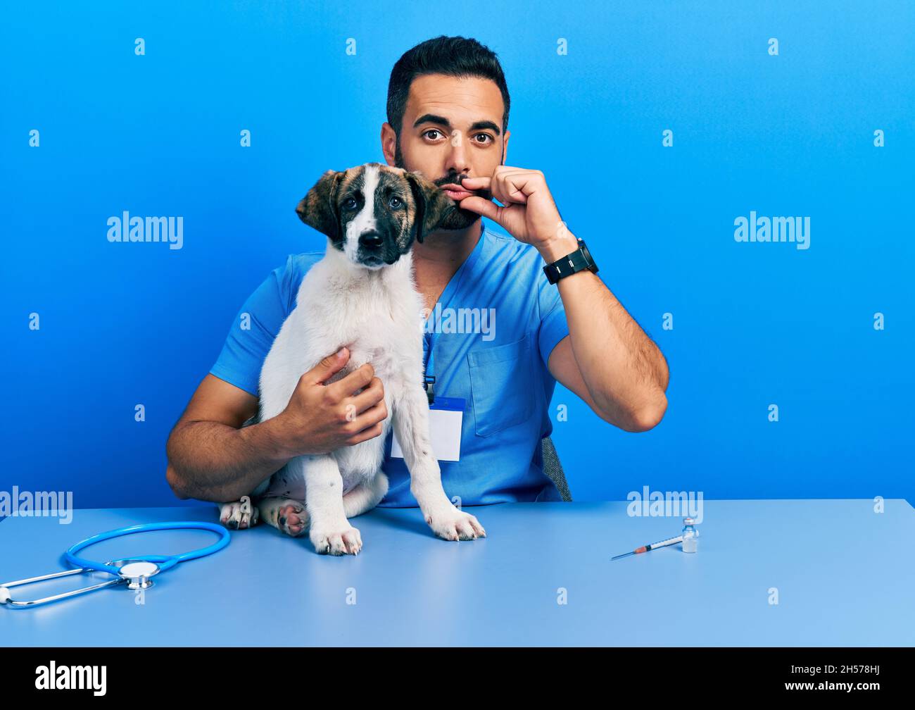 Handsome hispanic veterinary man with beard checking dog health mouth ...