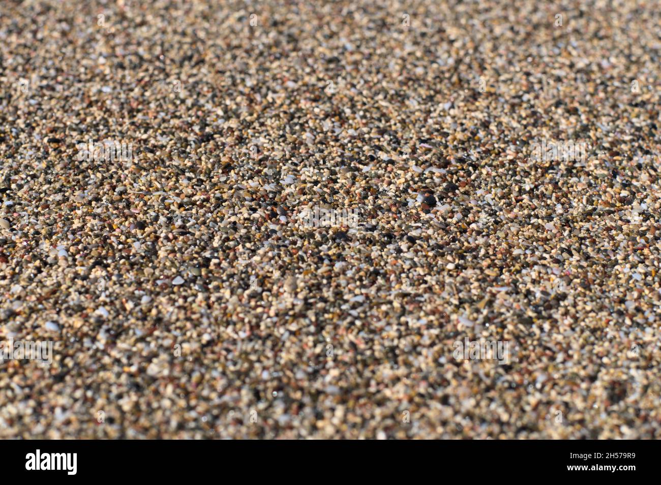 Sand of small pebbles and seashells on the beach.Close-up shot with ...