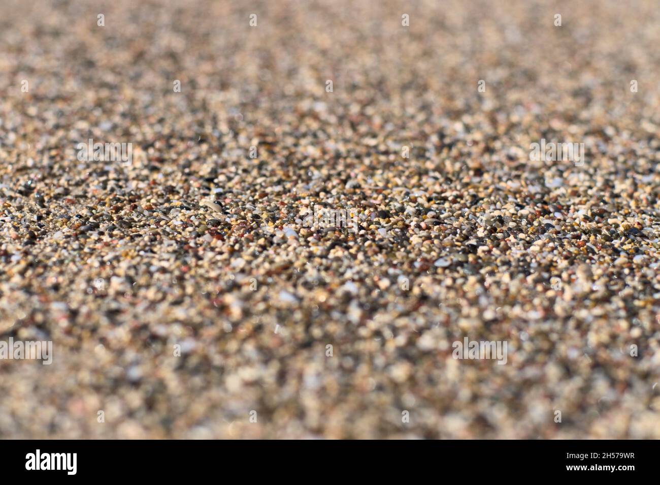 Sand of small pebbles and seashells on the beach.Close-up shot with ...