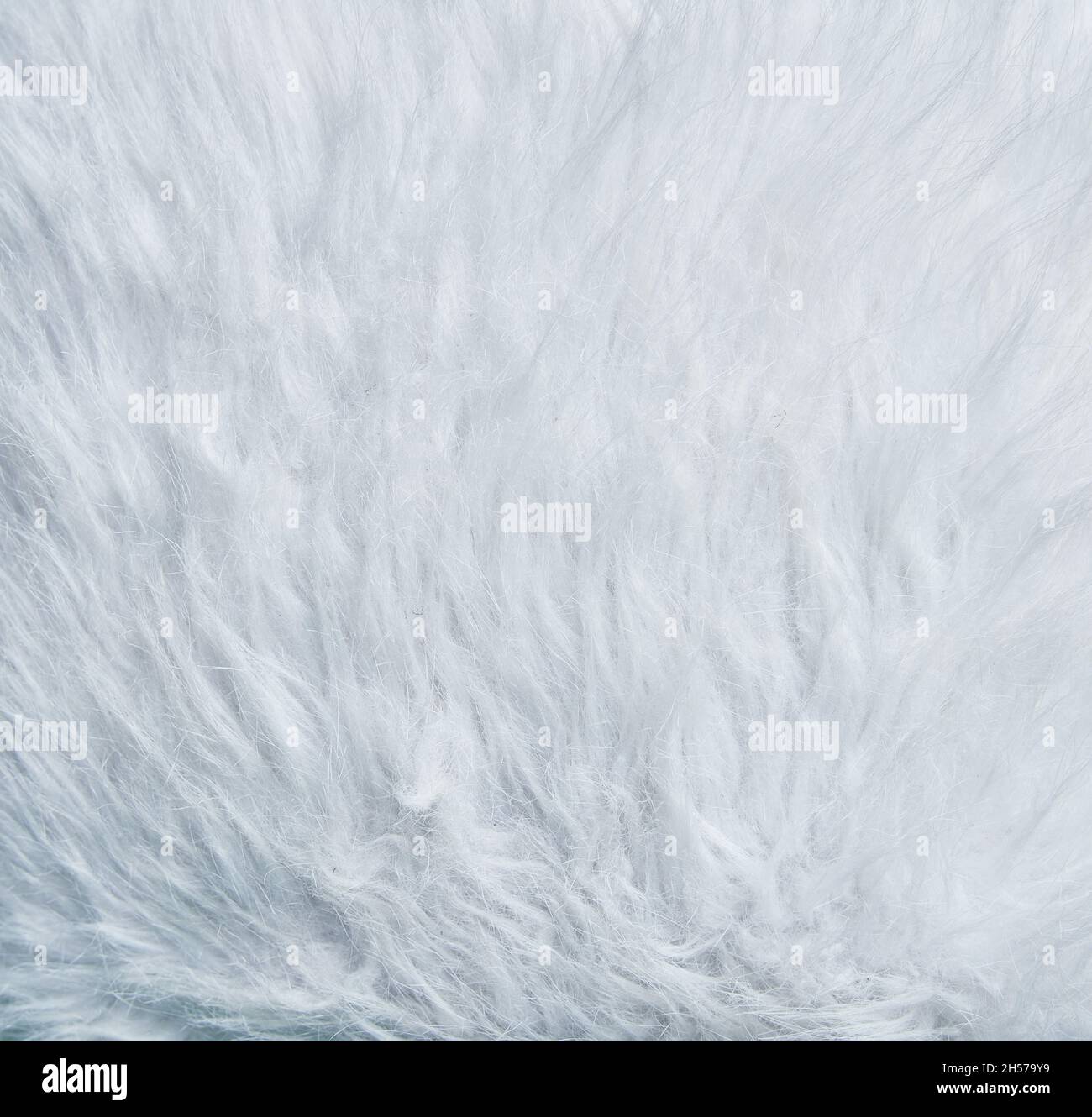 Beautiful fur texture image Stock Photo - Alamy